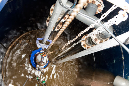 panks_sewage - Panks